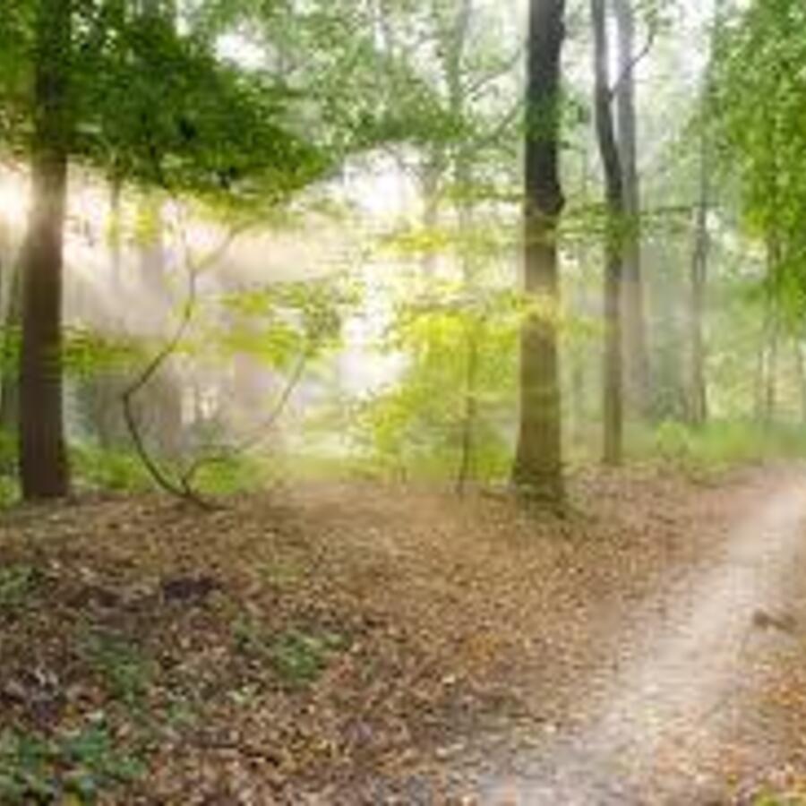 Jason Alan Lavallee. - author at storywrite