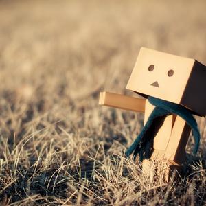 The Chocolate War Haiku - a poem by CoinToss - All Poetry